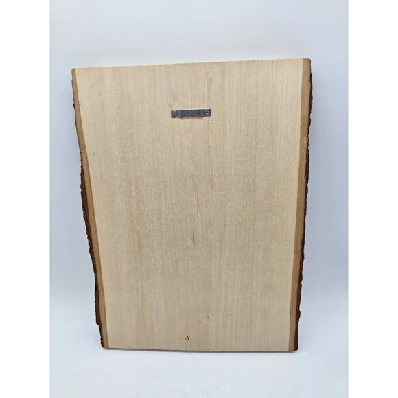 Handmade | Wall Decor | Handmade Pyrography Blue Jay Birds Pair Wooden ...